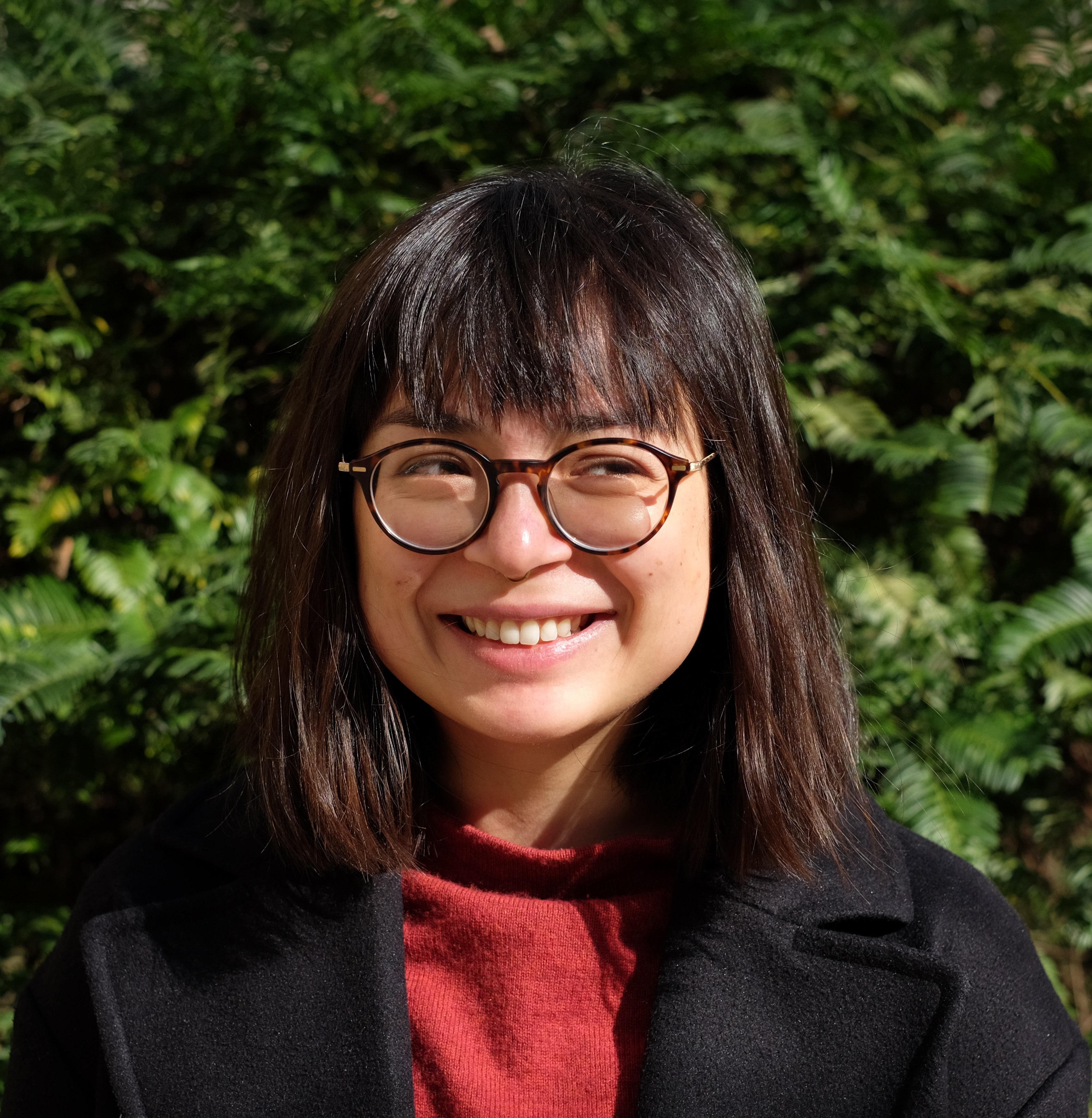 2024 COSYNE Workshop on the Geometry & Dynamics of Learning | Analytical Connectionism